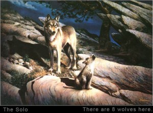 Wildlife Paintings | Art of Steve Kushner